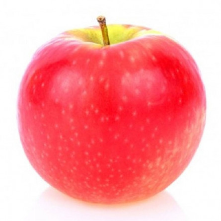 ToutenLocal - Accueil